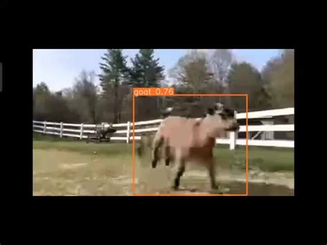 Gnanesh Duse On Linkedin I Have Successfully Completed Object Detection Using Yolo To Detect…