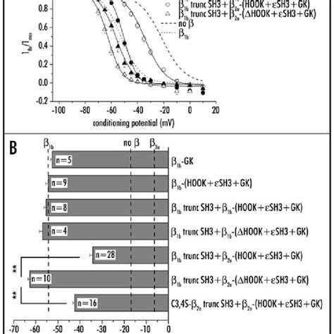Steady State Inactivation For Combinations Of β Subunit Constructs Download Scientific Diagram