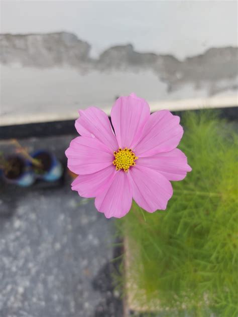 Saloni Gehlot On Linkedin The Most Required Skill To Learn In Todays Time Isnt Coding Or Ai