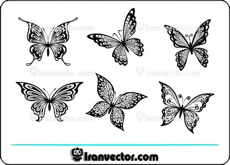 وکتور پروانه 50 ایران وکتور