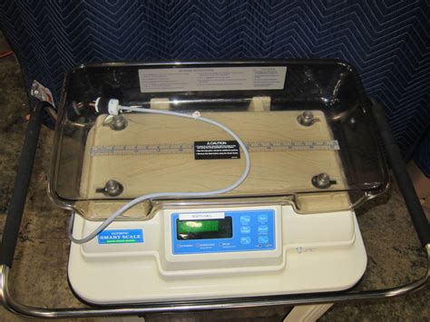 Olympic Smart Scale Rapid Weigh Model 60 Scale Auction