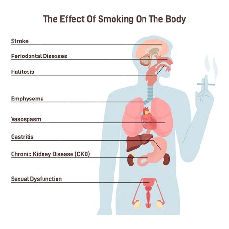 Premium Vector Diagram About Health Effect Of Cigarette Smoking