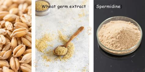 China Wheat Germ Extract 1 Spermidine Bulk Powder Supplier