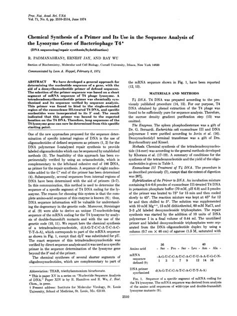 Chemical Synthesis Of A Primer And Its Use In The Sequence Analysis Of Chemical Synthesis Of A Primer And Its Use In The Sequence Analysis Of