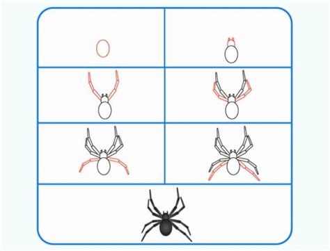 How To Draw A Spider Tutorials To Learn From