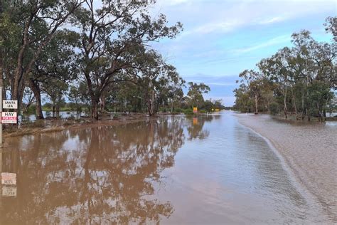 Flood Hit Communities In Nsw Face Dangerous 48 Hours As 150mm