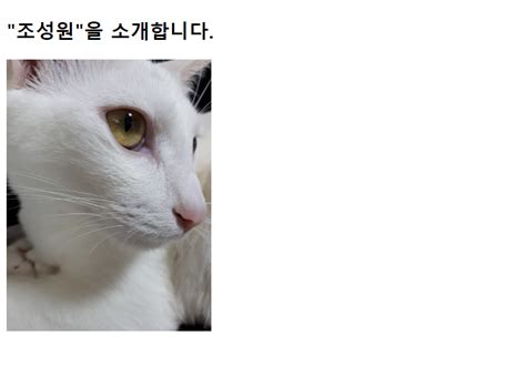 5분 만에 만드는 자기소개 페이지 Htmlcss 1