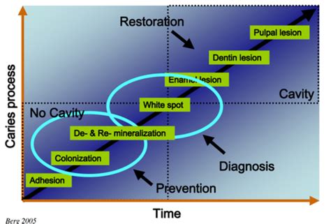 Dental Caries And Treatment Modalities Flashcards Quizlet