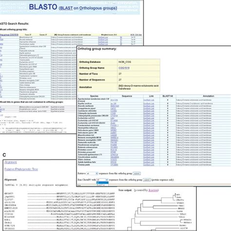 a snapshot of the blasto output pages with a query sequence from the