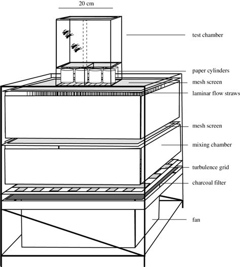 Schematic Drawing Of The Vertical Olfactometer The Lower Section