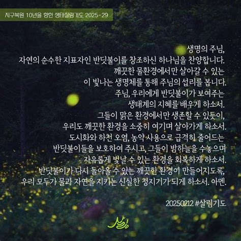 기독교환경교육센터살림 생명의 주님 자연의 순수한 지표자인 반딧불이를 창조하신 하나님을 찬양합니다 깨끗한 물환경에서만 살아갈 수 있는 이 빛나는 생명체를 통해 주님의