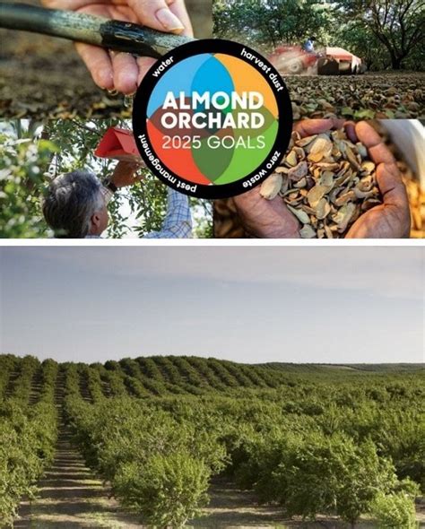 캘리포니아 아몬드 협회 아몬드 농가 2025 목표 성과 창출 네이트 뉴스