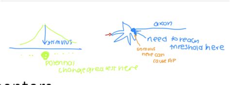 Part 1 The Peripheral Nervous System And Reflex Activity Flashcards