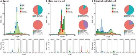 Exemplary Annotation And Profiling Of Srna Seq Datasets Generated By