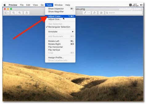 Full Guide To Invert An Image Without Losing The Quality
