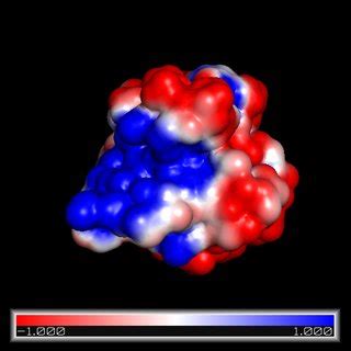 PDF Advanced PyMOL