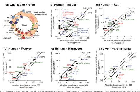 Figure 1 From Quantitative Proteomics Based Blood Brain Barrier Study