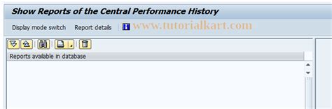 RZ SAP Tcode Central Perfomance History Reports Transaction Code