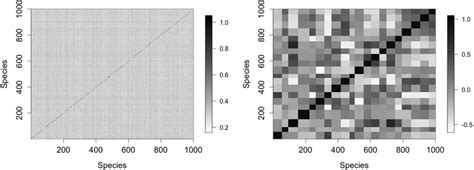 Covariance Structures Download Scientific Diagram