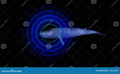 Whale Emitting Sonar Echolocation Signals 3d Rendering Illustration Stock Illustration