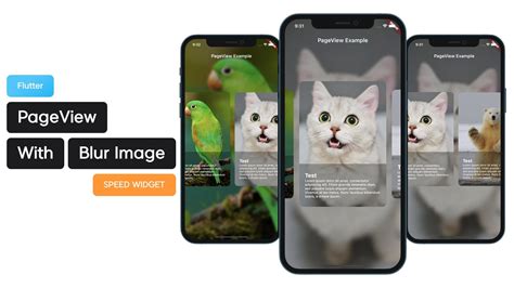 Flutter Pageview With Blur Image Speed Widget Youtube