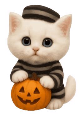 Halloween Kittens Cats Sticker Halloween Kittens Cats Halloween