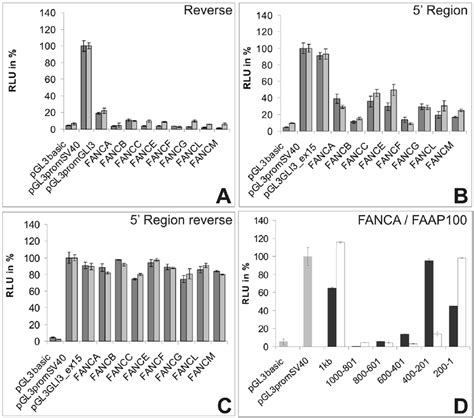 Results Of The Dual Luciferase Assays For Additional Constructs A