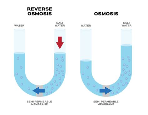 Reverse Osmosis