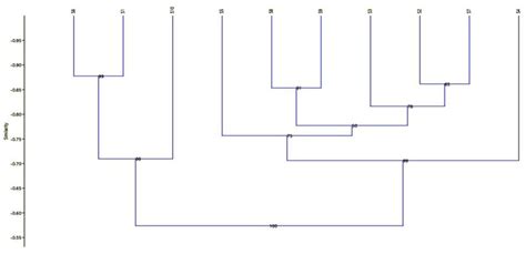 UPGMA Dendrogram For Distance Analysis Of The Study Sites Download Scientific Diagram
