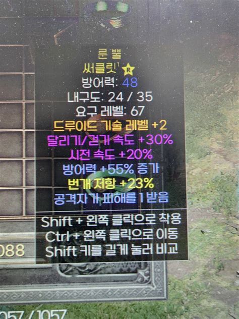 드루 뚜껑 감정 부탁드립니다 디아블로2 득템and자랑 게시판 디아블로2 인벤