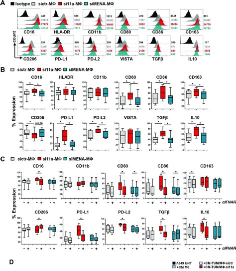 Conditioned Medium Derived From Si11a Nsclc Cells Induces A Unique Download Scientific Diagram