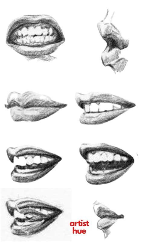 How To Draw A Face Step By Step For Beginners Artofit