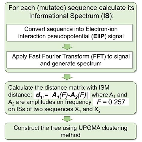 the schematic representation of the ism based phylogenetic algorithm