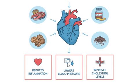 The Role Of Selenium In Thyroid Function Board Certified Internist