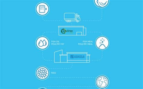 Life Cycle Assessment Shows Poultry Byproducts As Sustainable Ingredients For