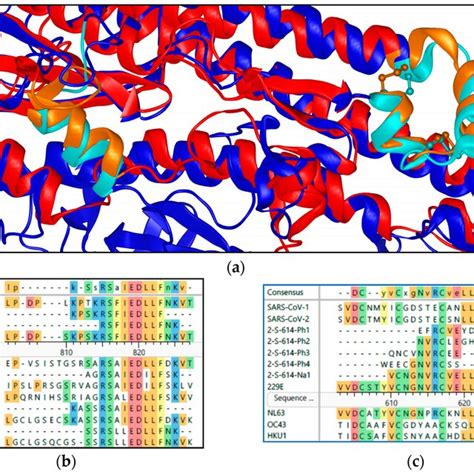Structural Identity Even With Different Sequences A Alignment Of
