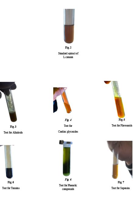 Evaluation Of Phytochemicals In Crude Extracts Derived From The Aerial Parts Of Lantana Camara