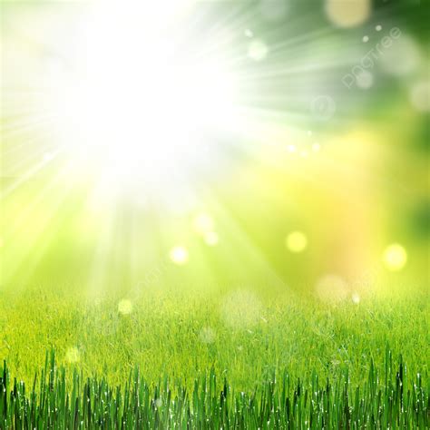 찬란 한 햇빛 과 추상 적 인 자연 배경 에서 초록 빛 푸른 배경 일러스트 및 사진 무료 다운로드 Pngtree