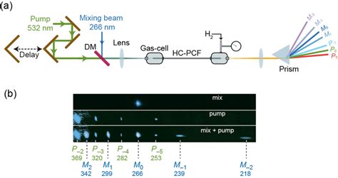3 A Schematic Of The Experimental Setup Dm Dichroic Mirror B Download Scientific