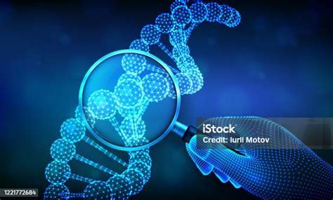 손과 Dna 서열에 돋보기를 가진 유전 공학 개념 와이어 프레임 Dna 분자 구조 메쉬 Dna 코드 편집 가능한 템플릿입니다 과학 및 생명 공학 개념 벡터 그림입니다 Dna