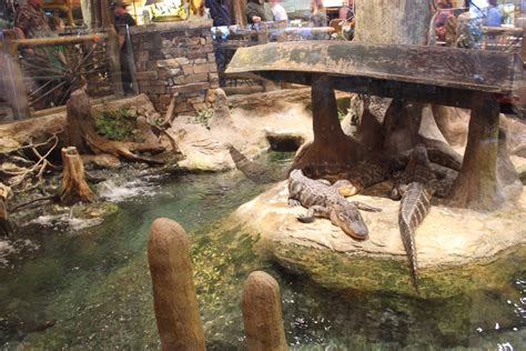 Play St Louis Wonders Of Wildlife National Museum And Aquarium