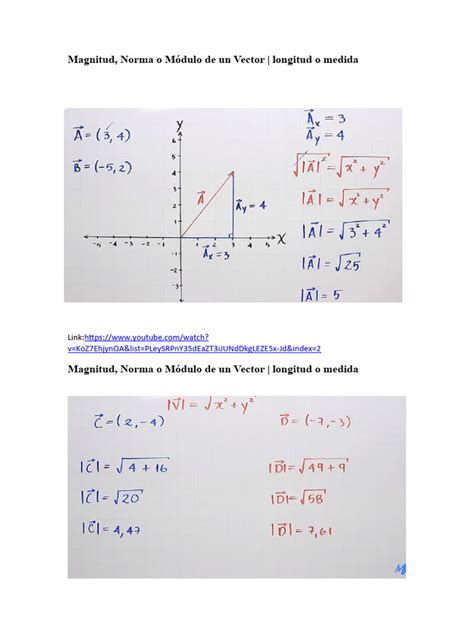 Magnitud Norma O Módulo De Un Vector Longitud O Medida Pdf
