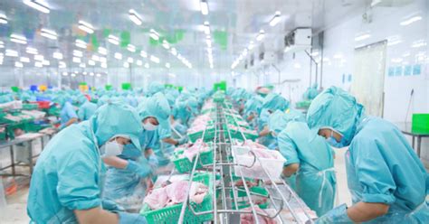 Hỏi đáp Idi And Wpro Là Gì Và Những điều Cần Biết Về Hội Nghị Quản Trị