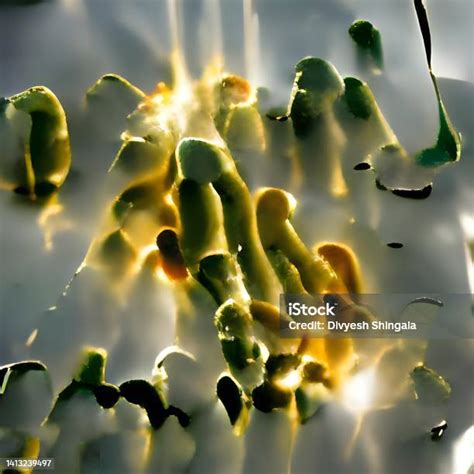 박테리아의 과학적 이미지 시트로 박터 그람 음성 박테리아 일러스트레이션 인간의 장에서 발견 요로 감염 유아 수막염 및 패혈증을