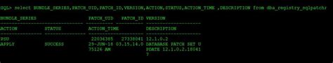 Step By Step Apply 12c Grid And Db April 2018 Psu To Oracle 12cr1 2