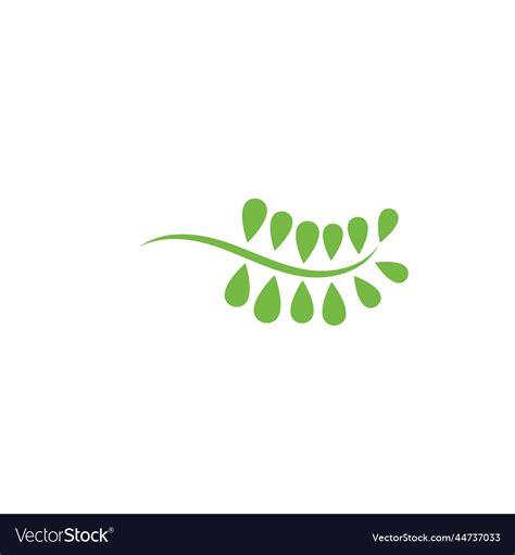 Moringa Leaf Icon Design Template Royalty Free Vector Image