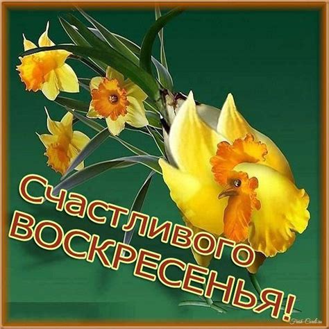 Добрый день воскресенье картинки красивые весна