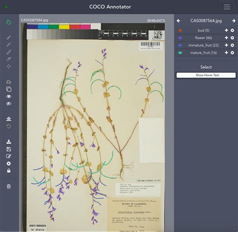 Coco Annotator Interface In Which A Training Image Of A Herbarium