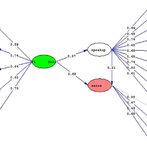 Structural Equation Modelling Results The Standardised Values