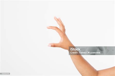 흰색 배경 위에 격리 된 백인 검은 손 제스처로 크기 기호를 표시합니다 아프로 아메리칸 핸드 모의 공간을 복사합니다 템플릿 빈